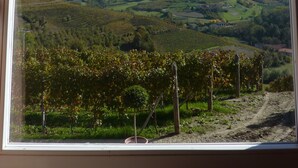 Vista através de uma janela arqueada de uma paisagem de vinhedos, com colinas ondulantes e edifícios espalhados.