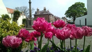 Uma rua com tulipas cor-de-rosa em primeiro plano e um edifício com uma coluna de pedra ao fundo.