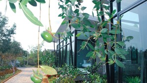 Uma casa moderna com grandes janelas de vidro, um caminho de pedra e plantas pendentes verdes.