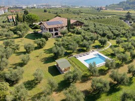Uma grande moradia com piscina, rodeada por oliveiras e vinhas.