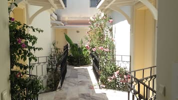Pátio interior
