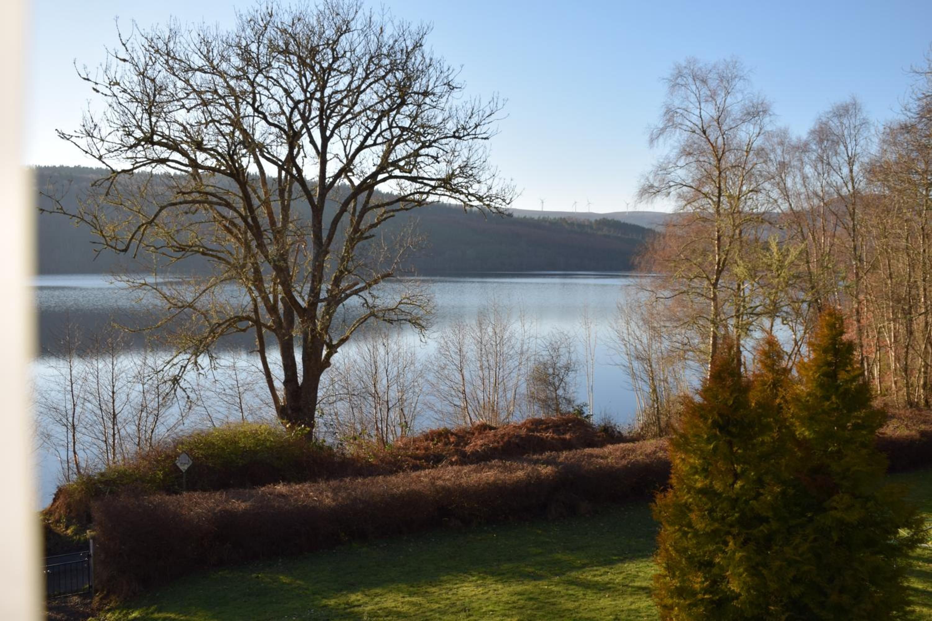 Um lago com uma árvore em primeiro plano e colinas ao fundo.