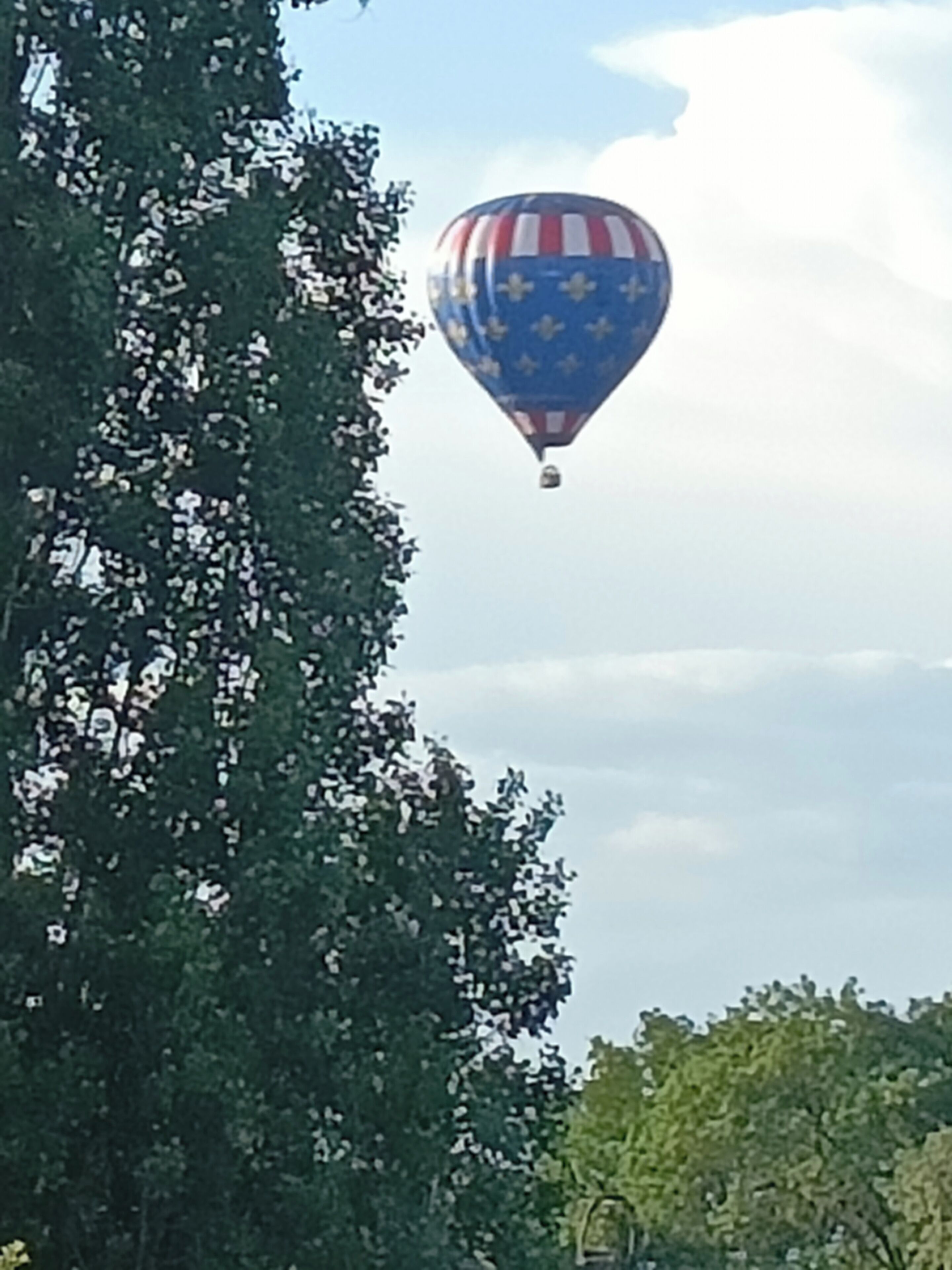 Um balão de ar quente com design azul e vermelho, sobrevoando uma árvore.