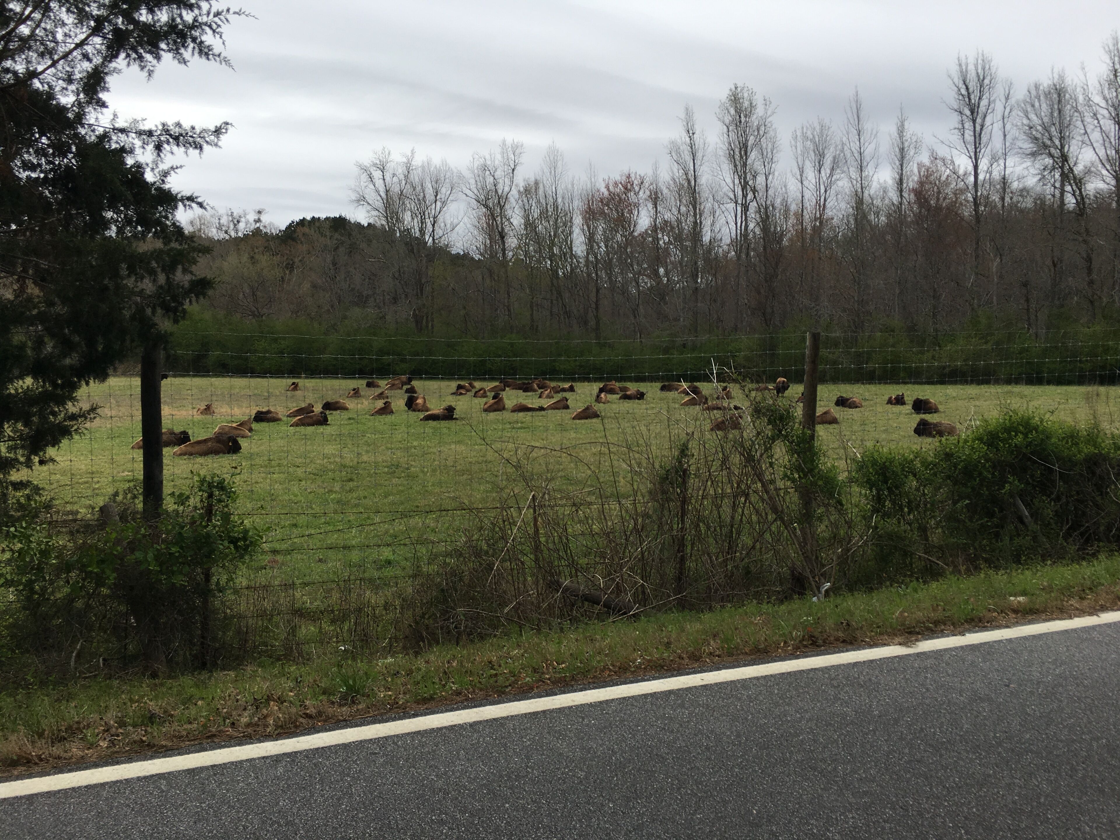 10 Best Ranches In Georgia, USA - Updated 2024 | Trip101