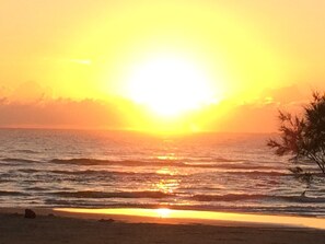 Um pôr do sol sobre o oceano, com uma praia e uma árvore à direita.