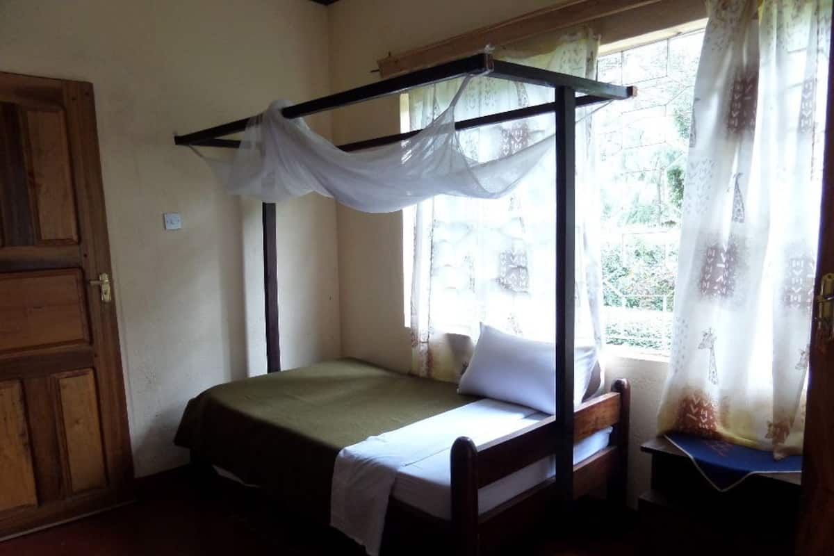 Uma cama de solteiro com dossel, uma porta de madeira e uma janela com cortinas.
