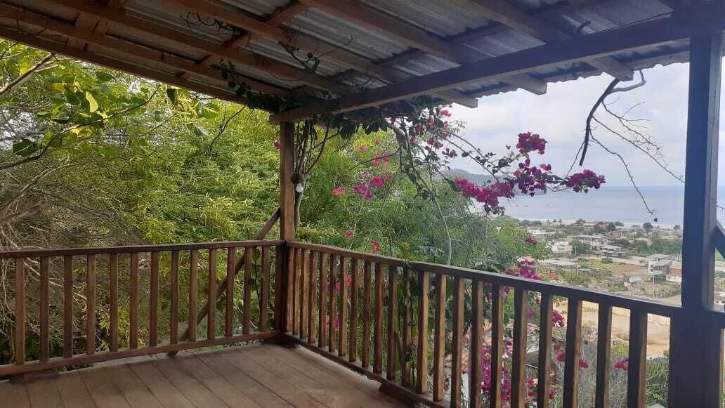 Uma varanda de madeira com vista para a paisagem costeira e vegetação.