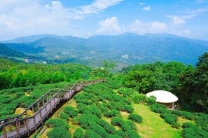 Vista para a montanha