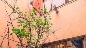 Uma árvore em vaso num pátio com soalho de azulejos e entrada de edifício com porta de vidro deslizante.