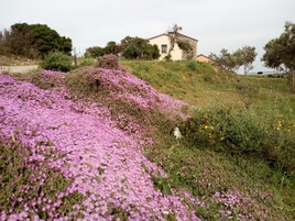 Fachada da propriedade