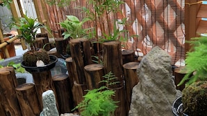 Um jardim com estruturas de madeira, plantas e uma rocha como peça central.