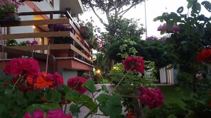 Um jardim com flores vibrantes e uma estrutura de madeira.