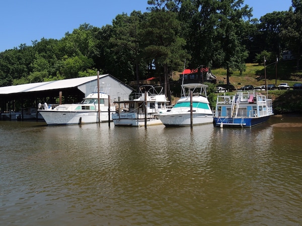 쿠키 B - 체스터