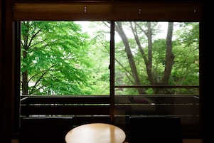 Quarto Tradicional, vista para a montanha (Japanese Style,3People,Private Toilet) | Vista do quarto