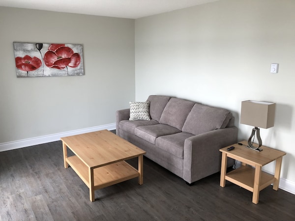 The Shores Of Deer Lake - Algonquin Provincial Park