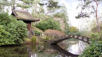 Casa de Campo | Interior
