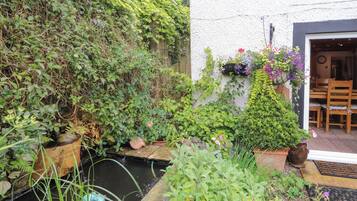 Terrenos do alojamento