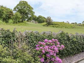Casa de Campo | Interior