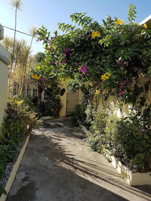 金士顿小屋酒店 - 京士頓