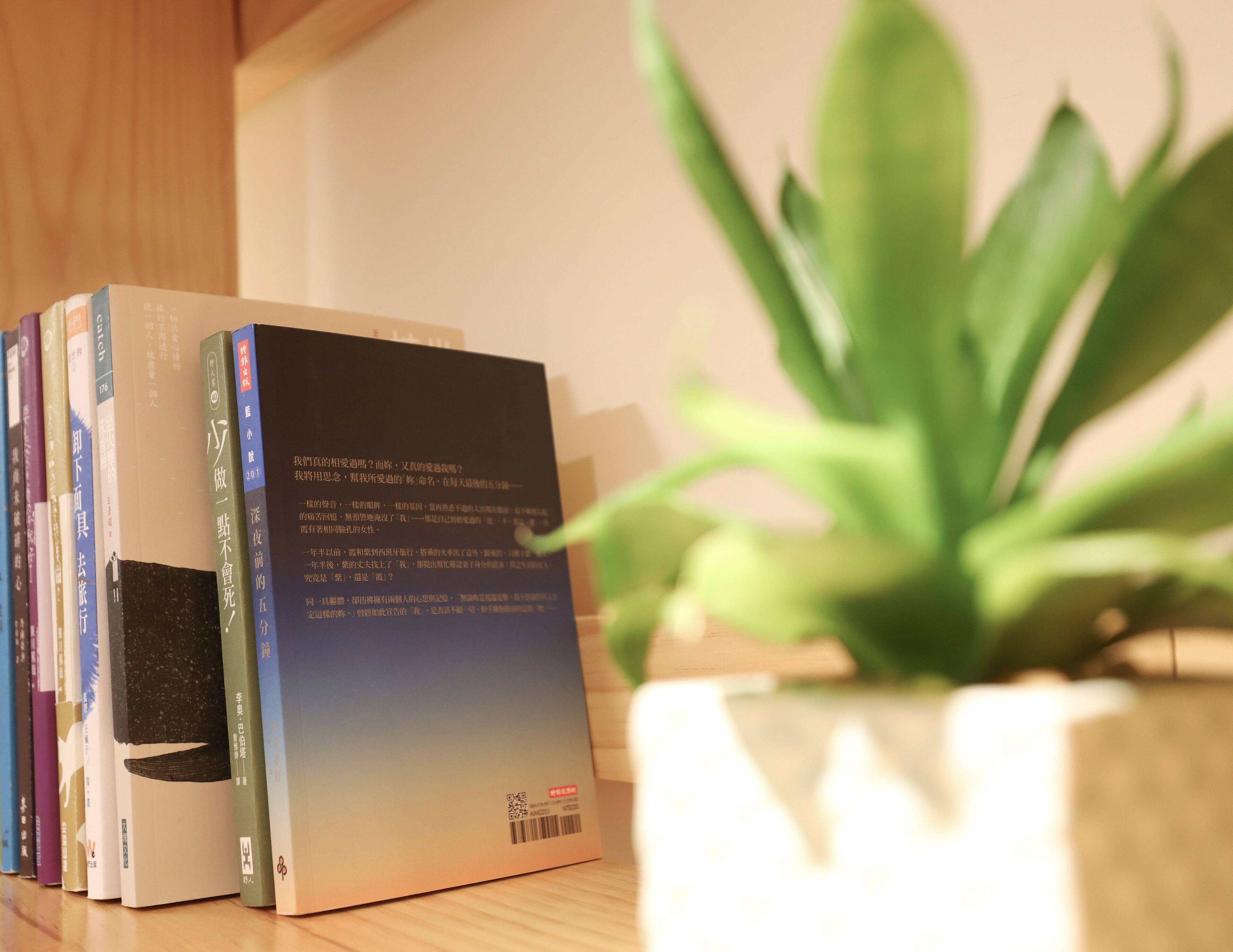 Uma fileira de livros numa estante, com um vaso de planta em primeiro plano.