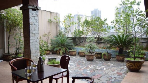 Pátio externo com piso de pedra, rodeado por plantas em vasos e uma mesa com cadeiras.