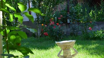 Jardim