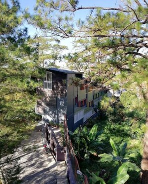 Uma casa na árvore com uma pequena janela e porta, rodeada por folhagem densa.