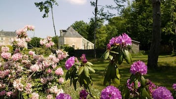 Jardim