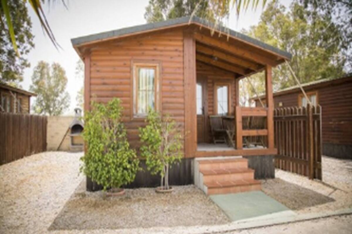 Uma cabana de madeira com varanda, uma pequena mesa e duas plantas em vasos.
