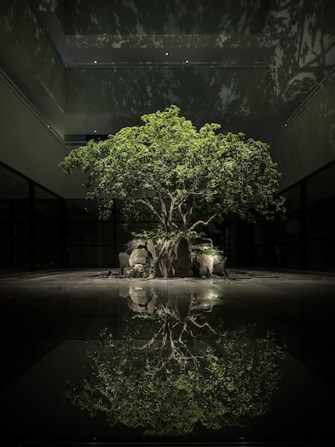 The General Kyoto Takatsuji Tominokoji - Kyoto