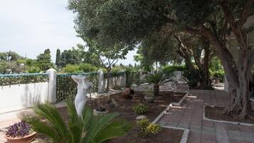 Área da propriedade