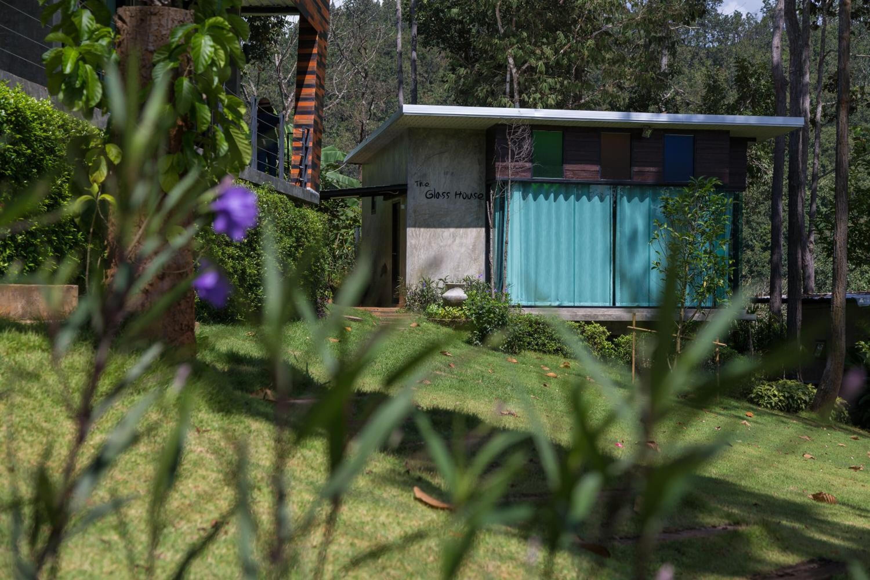 Uma casa moderna com fachada de vidro, rodeada por vegetação exuberante e um gramado bem cuidado.