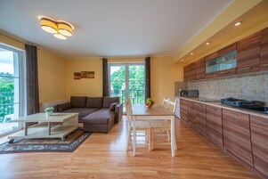 Apartamento Comfort, 1 quarto, Vista para a cidade | Cozinha privada | Um frigorífico, um micro-ondas, uma placa de cozinha 