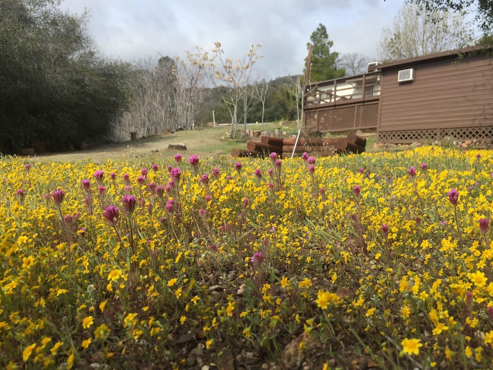 Shirley Creek Mountain Oasis: Special Discounts! - Wofford Heights