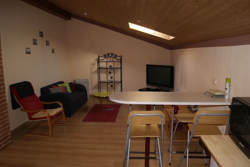 Appartement Calme Et Conviviale - Gaillac