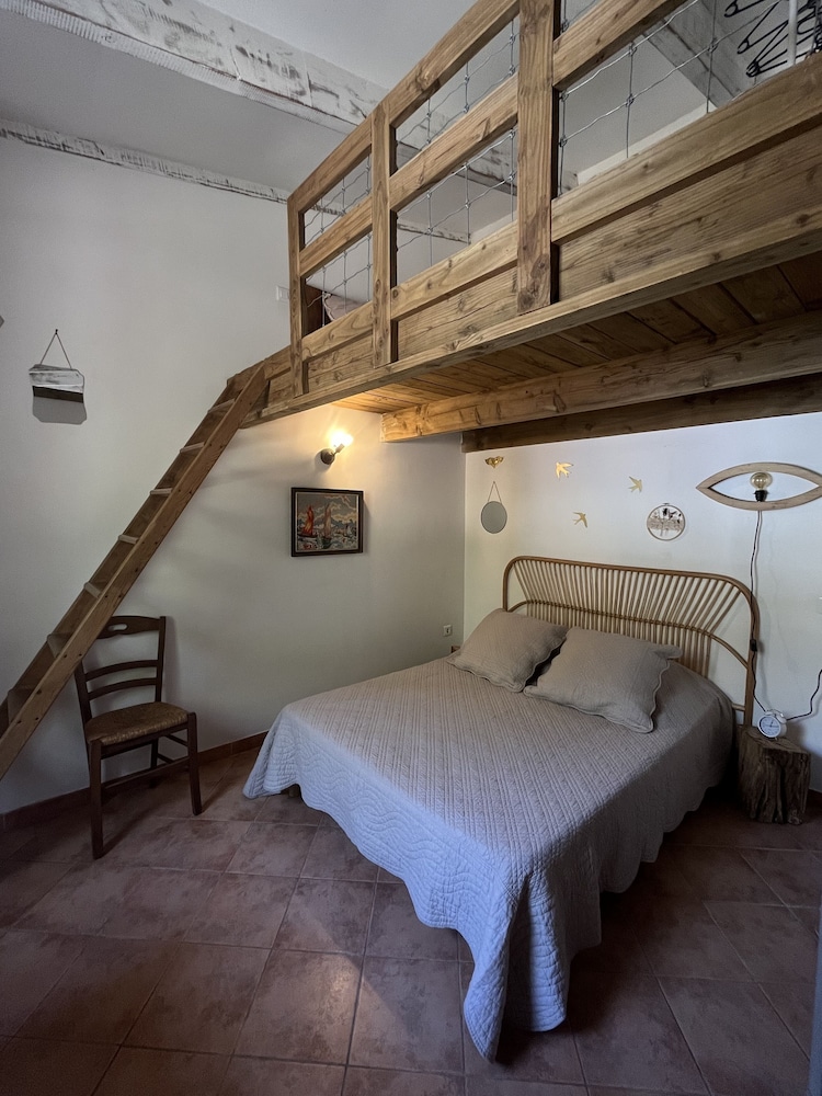 Caseddu Affascinante, Piccola Pecora Tipico Della Corsica - Corsica