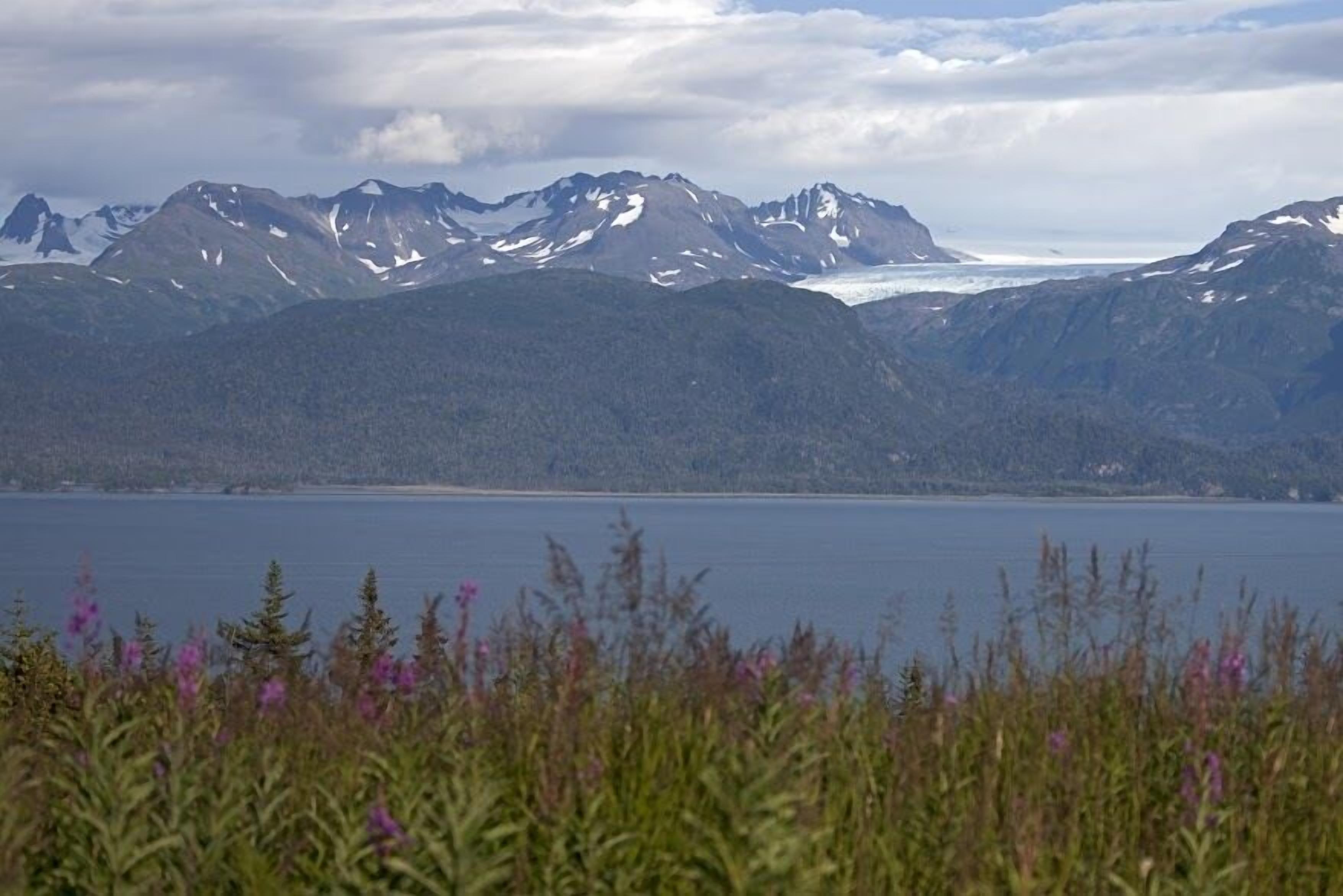 Mapa De La Familia Kilcher, Homer, Alaska Kilcher Homestead