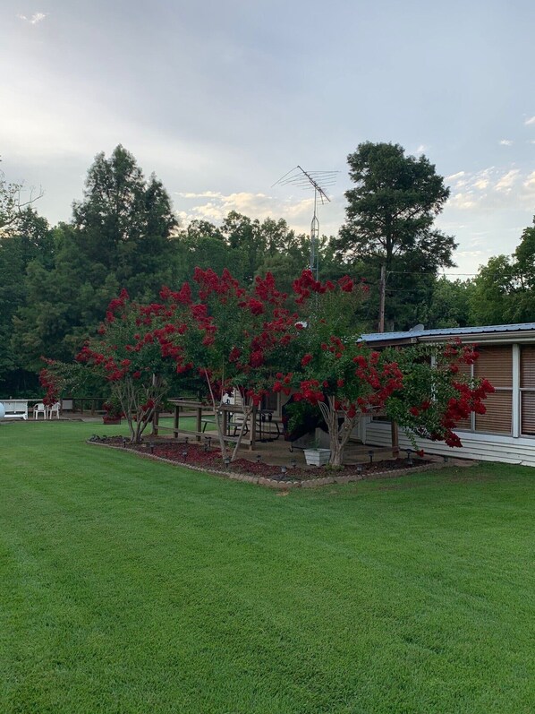 LODGING AT IT'S BEST ON REELFOOT LAKE Upper Blue Basin AT THE BAYOU ...