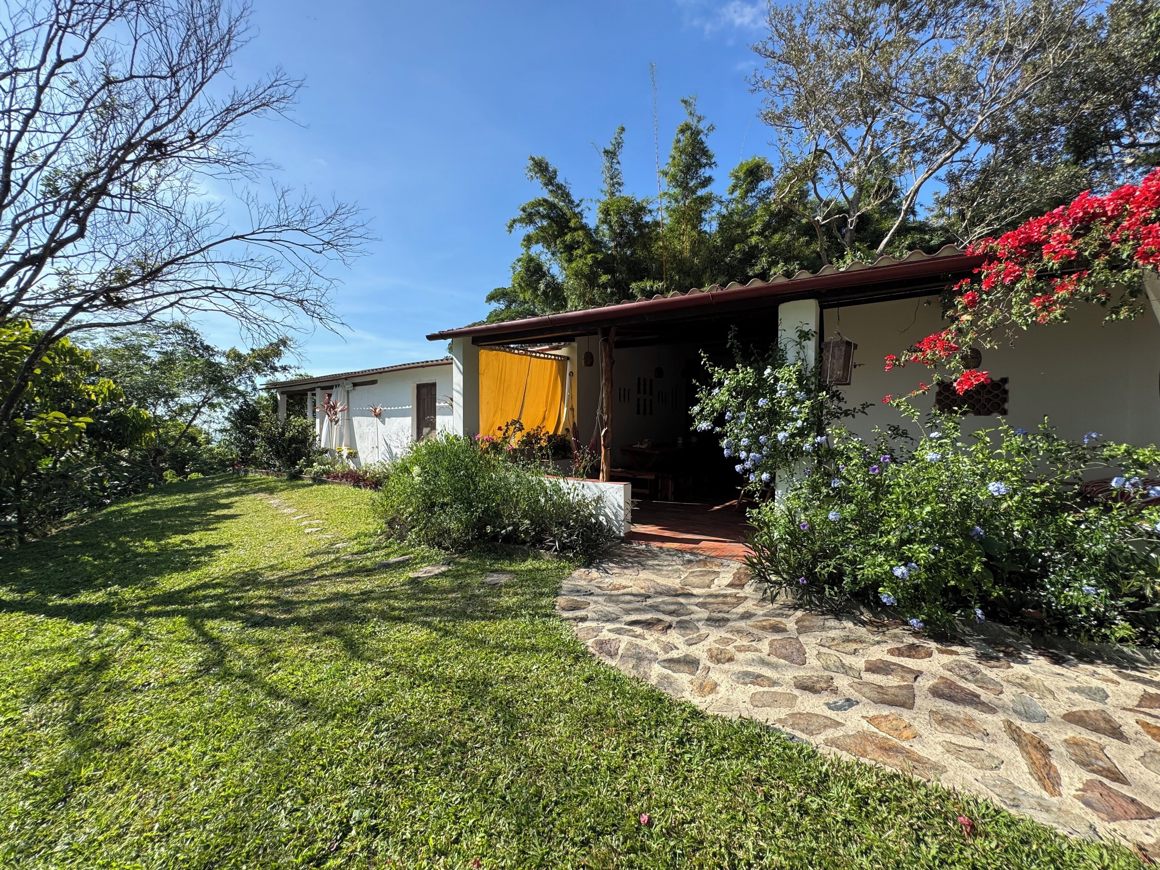 Uma trilha de pedra leva a uma casa com cortina amarela, cercada por vegetação exuberante e plantas floridas.