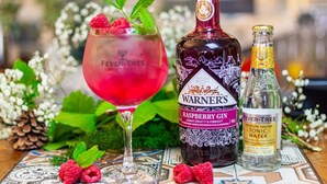Uma garrafa de Ginebra Framboesa Warner, um copo de Água Tônica Premium Indiana Fever-Tree e framboesas sobre uma mesa com toalha de mesa estampada.