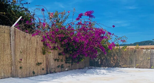 Relax, 2 Km Bossa Beach, Spacious Rooms, Wifi, Private Pool And Bbq - Ibiza