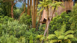 Uma casa na árvore de madeira com vários níveis, construída sobre estacas, rodeada por vegetação exuberante e árvores.