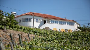 Um edifício grande e branco com telhado de telhas vermelhas, rodeado por um vinhedo.