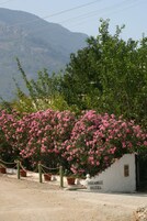 Vista da propriedade