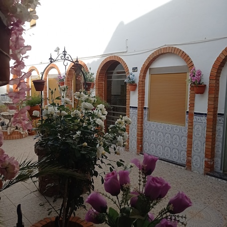 TerraƧo/pƔtio interior