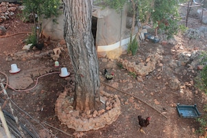 Área da propriedade