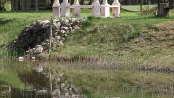 Um gazebo com colunas e um reflexo num lago.