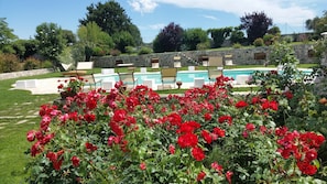 Jardim