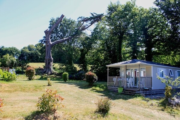 Insolites Du Camping De Trezulien - Bretagne