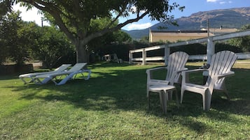 Jardim